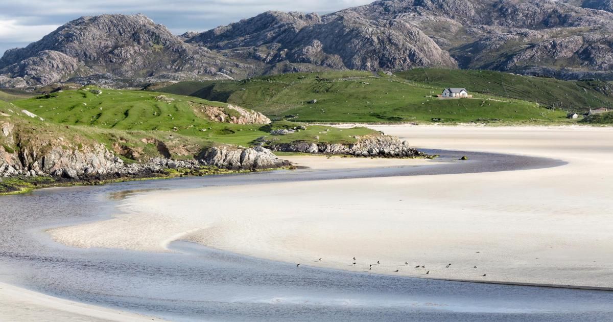 See why these 'spectacular' Scottish beaches are among…