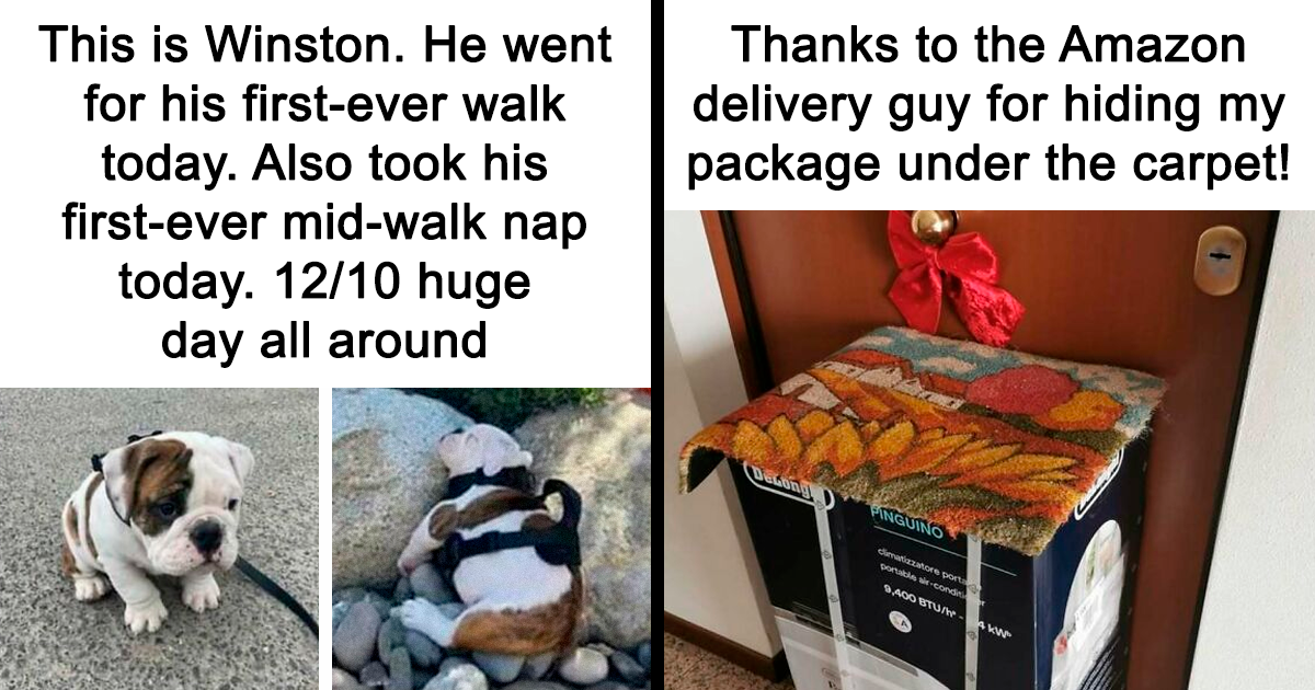 50 Feel-Good Memes And Pics To Help You Escape The…
