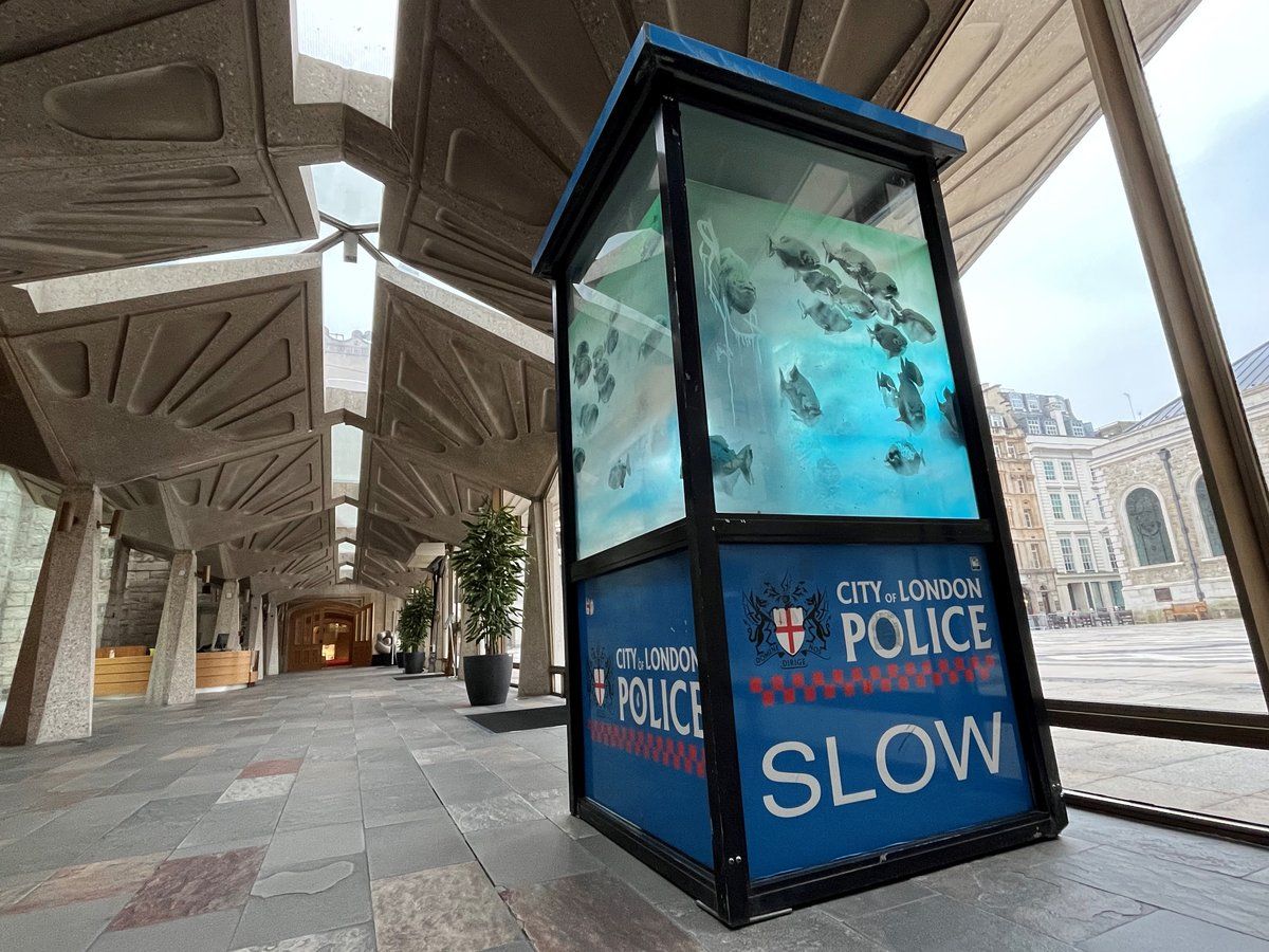 Banksy ‘piranhas’ police sentry box artwork to go on…