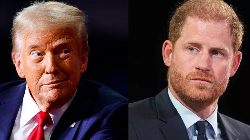 Prince Harry warned as Donald Trump has other plans…