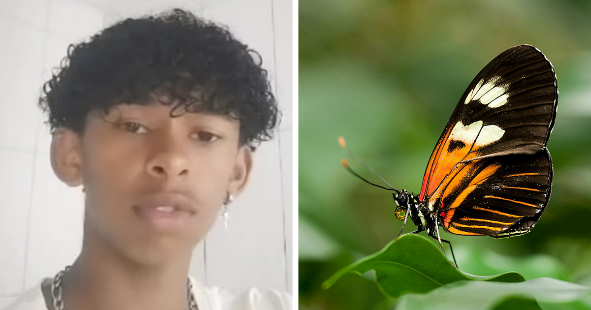 14YO Passes Away After Injecting “Butterfly Remains”…