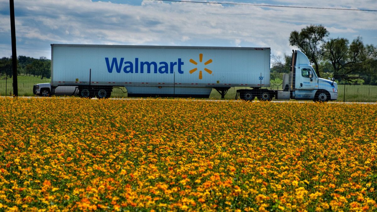 Walmart is selling a 'beautiful' $400 arched storage…