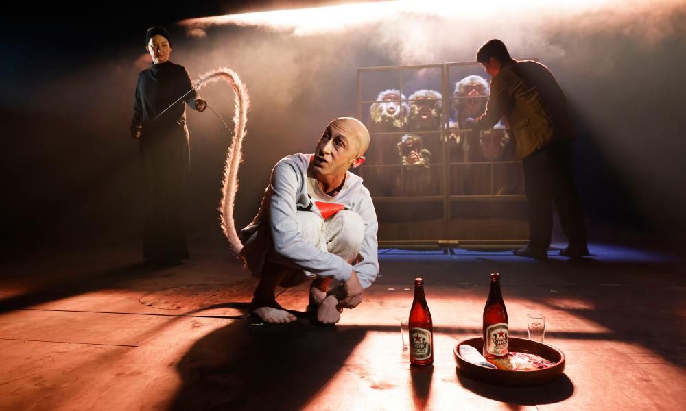 Confessions of a Shinagawa Monkey review – gorgeous…