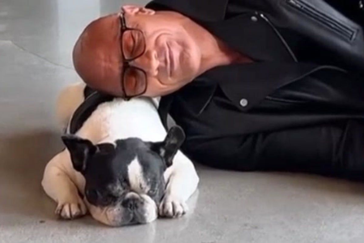 Dwayne ‘The Rock’ Johnson pays tribute to beloved pet…