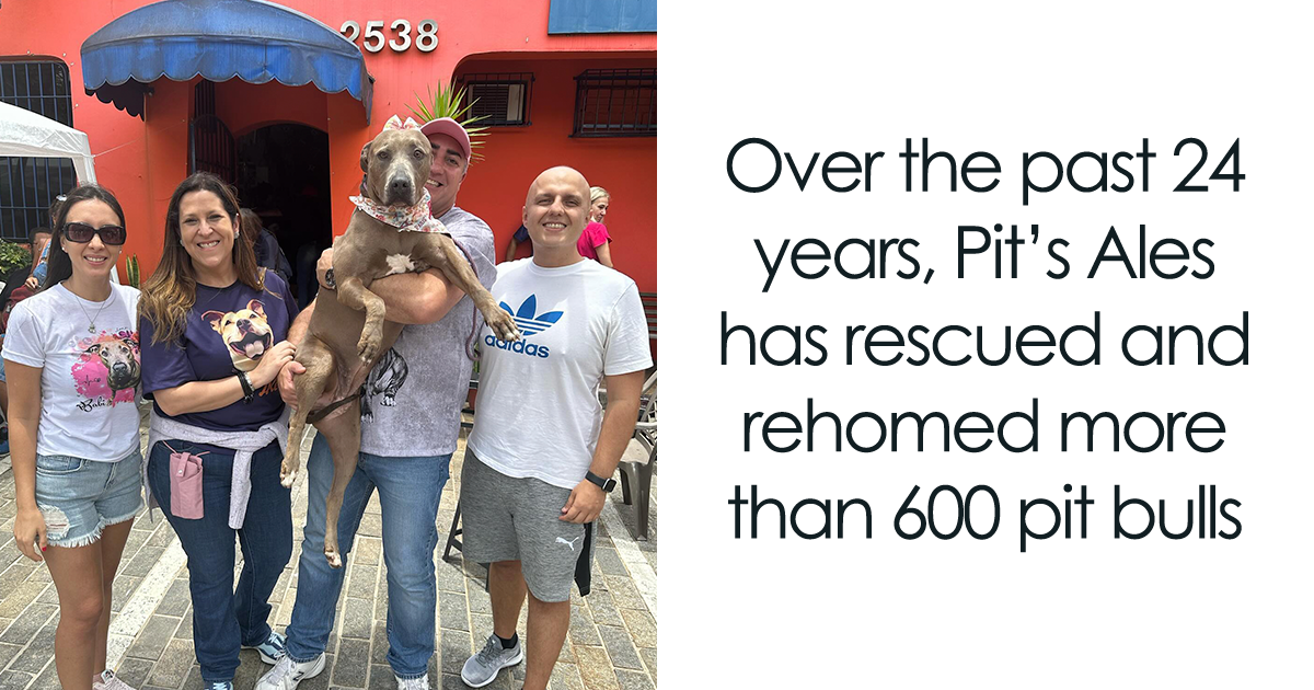 Pit Bull Rescue Organization In Crisis Due To…
