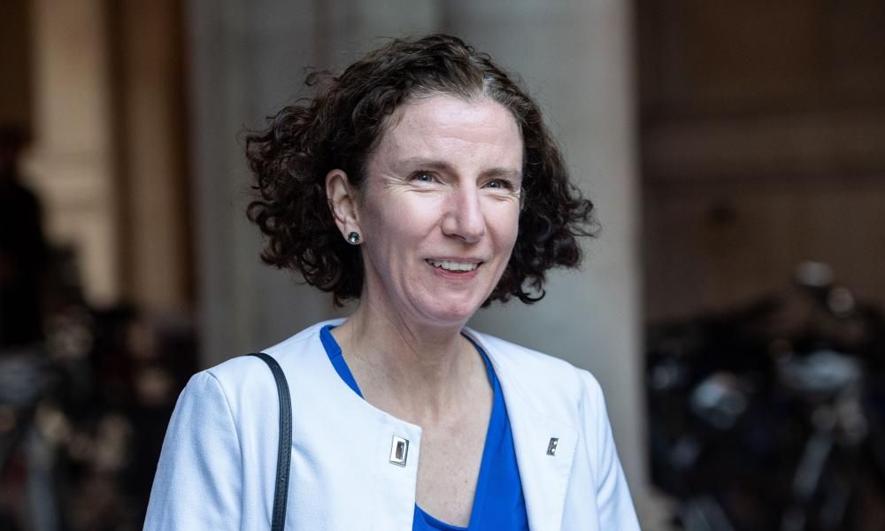 Anneliese Dodds: soft-left intellectual pushed to…