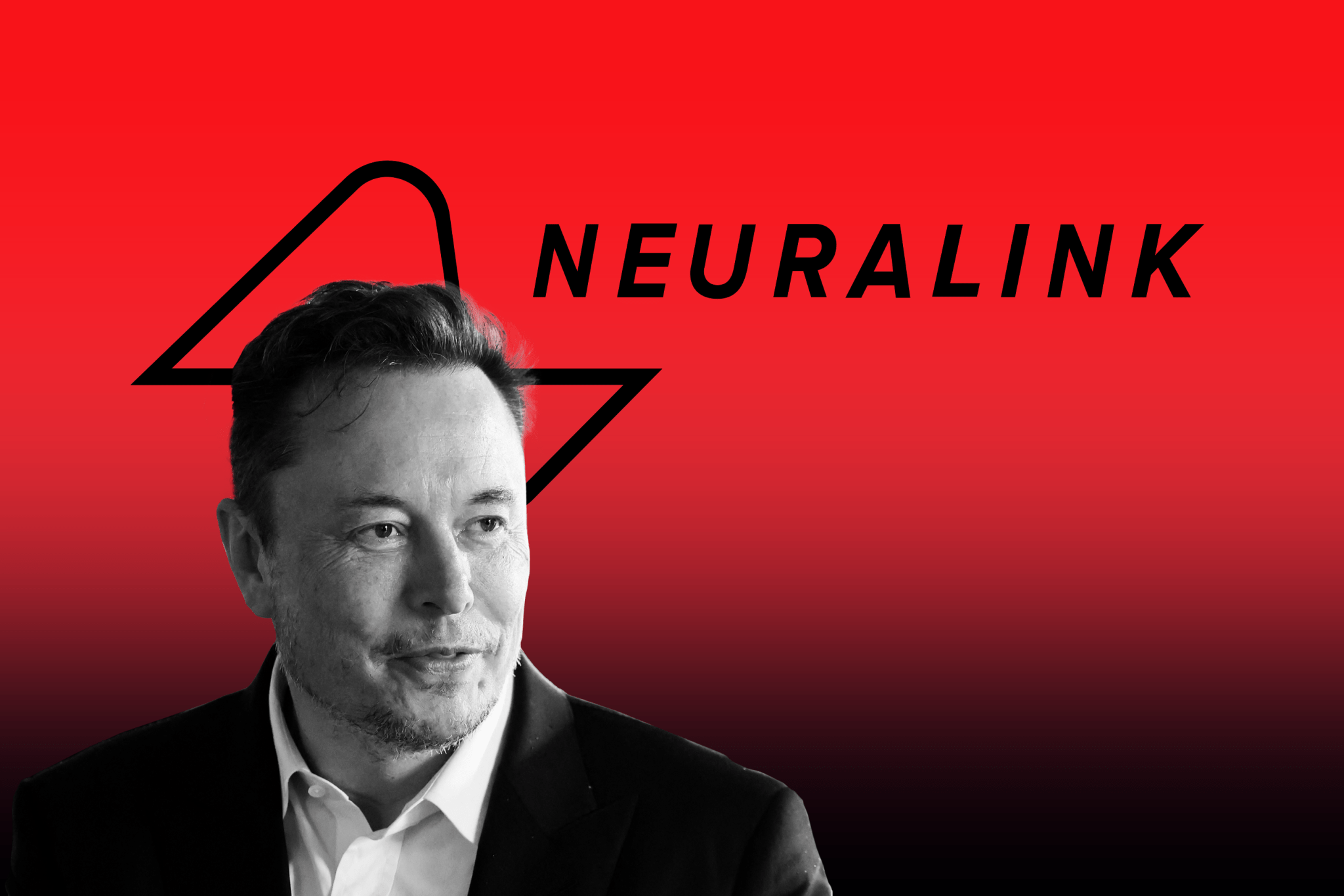 The top power players running Neuralink, Elon Musk’s…