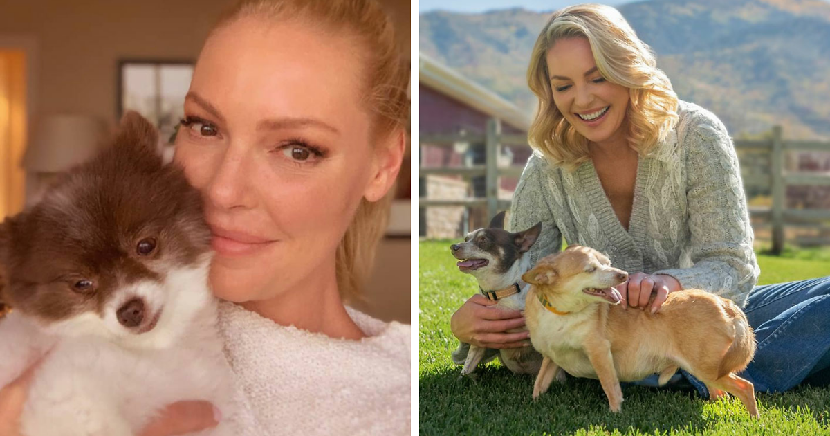 “Serial Complainer”: Katherine Heigl Sues Dog Rescue…