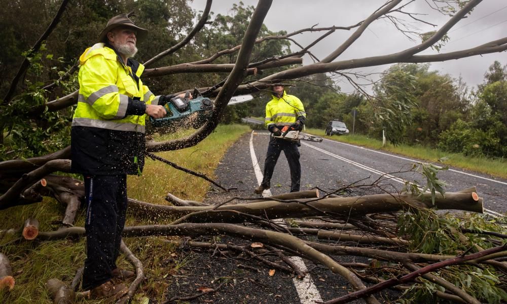 Tropical Cyclone Alfred aftermath: what to do once the…