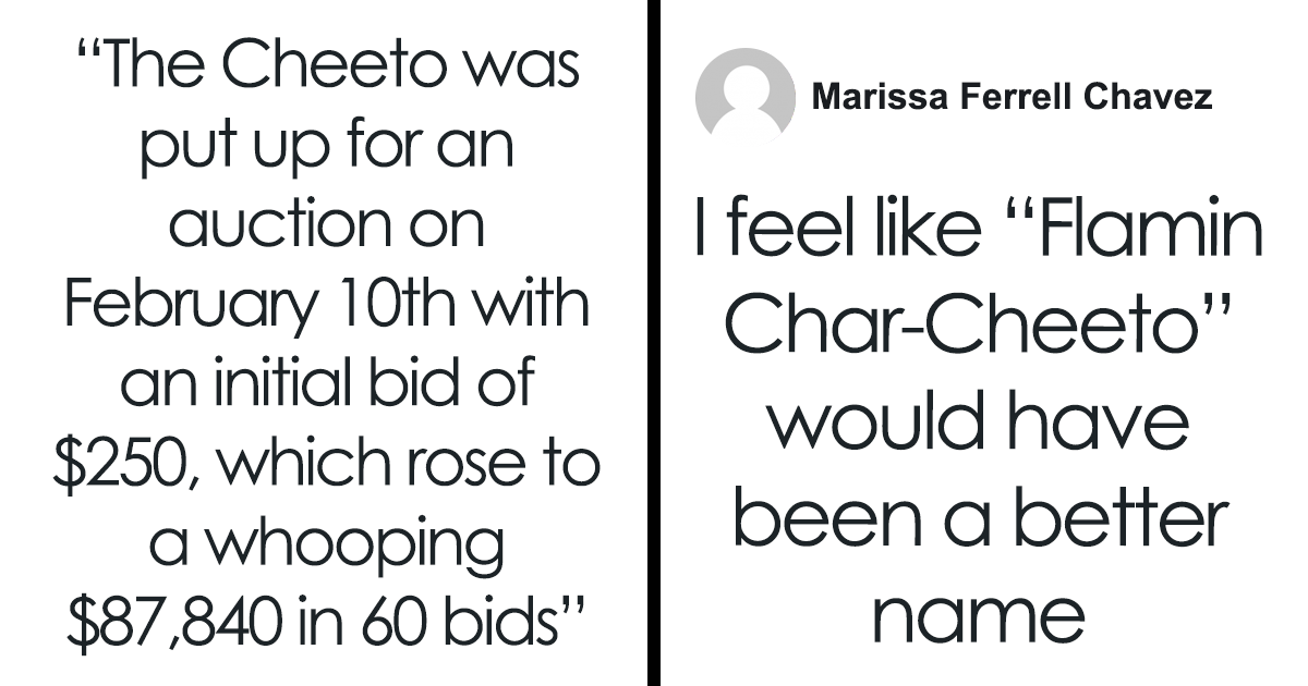 A Person Pays Nearly $88K To Possess “Cheetozard” – A…