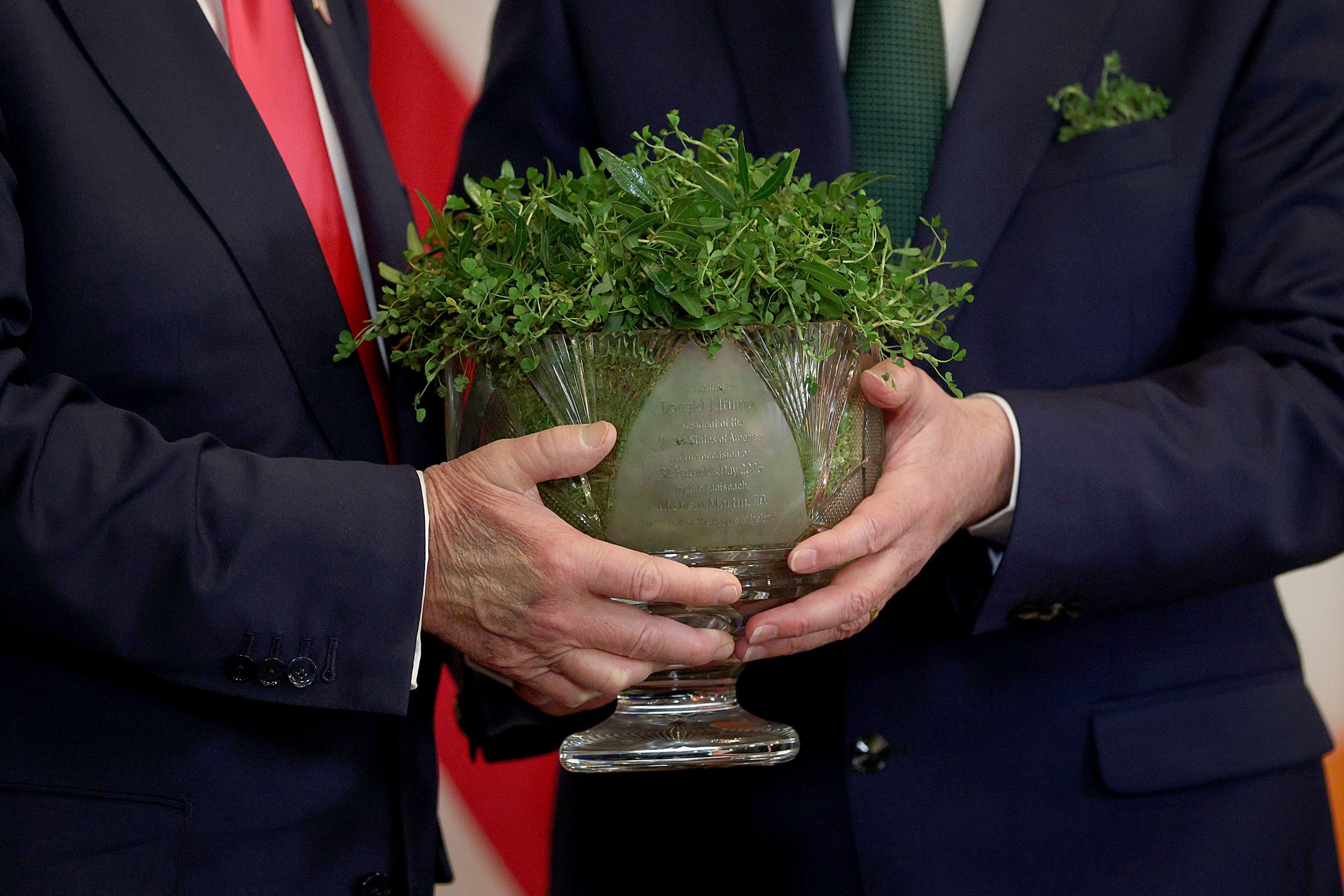 Massive Bruise on Trump's Hand Reappears Weeks After…