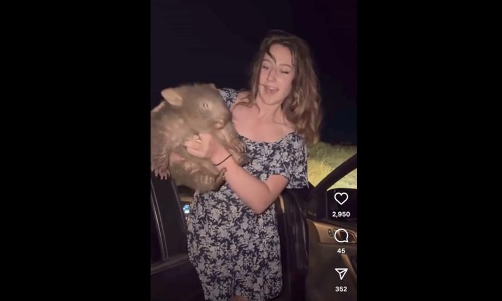 Baby wombat grabber Sam Jones leaves Australia after…