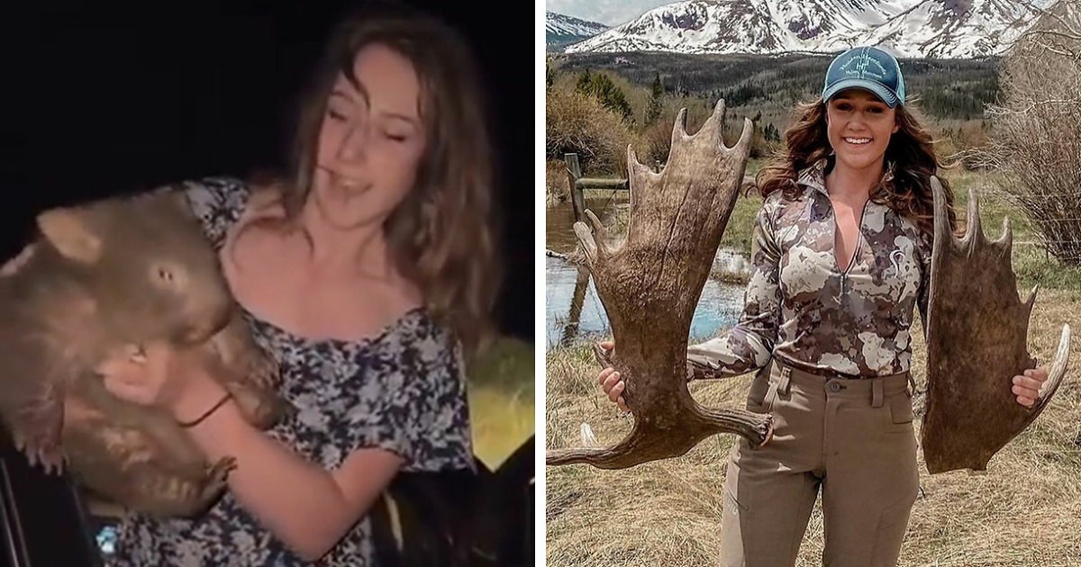 “Delusional”: US Woman Who Snatched Baby Wombat From…