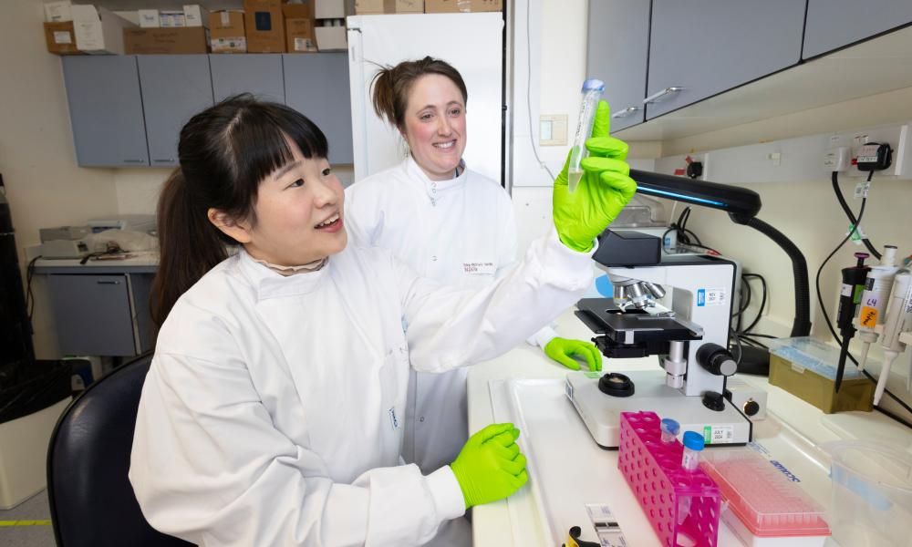 Animal poo can be used to save endangered species from…