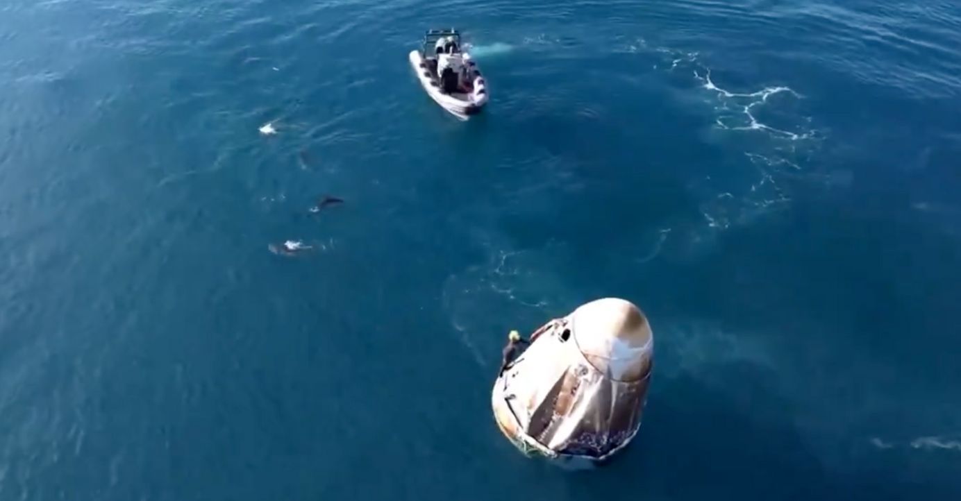 Dolphins Greet Returning Astronauts After SpaceX…