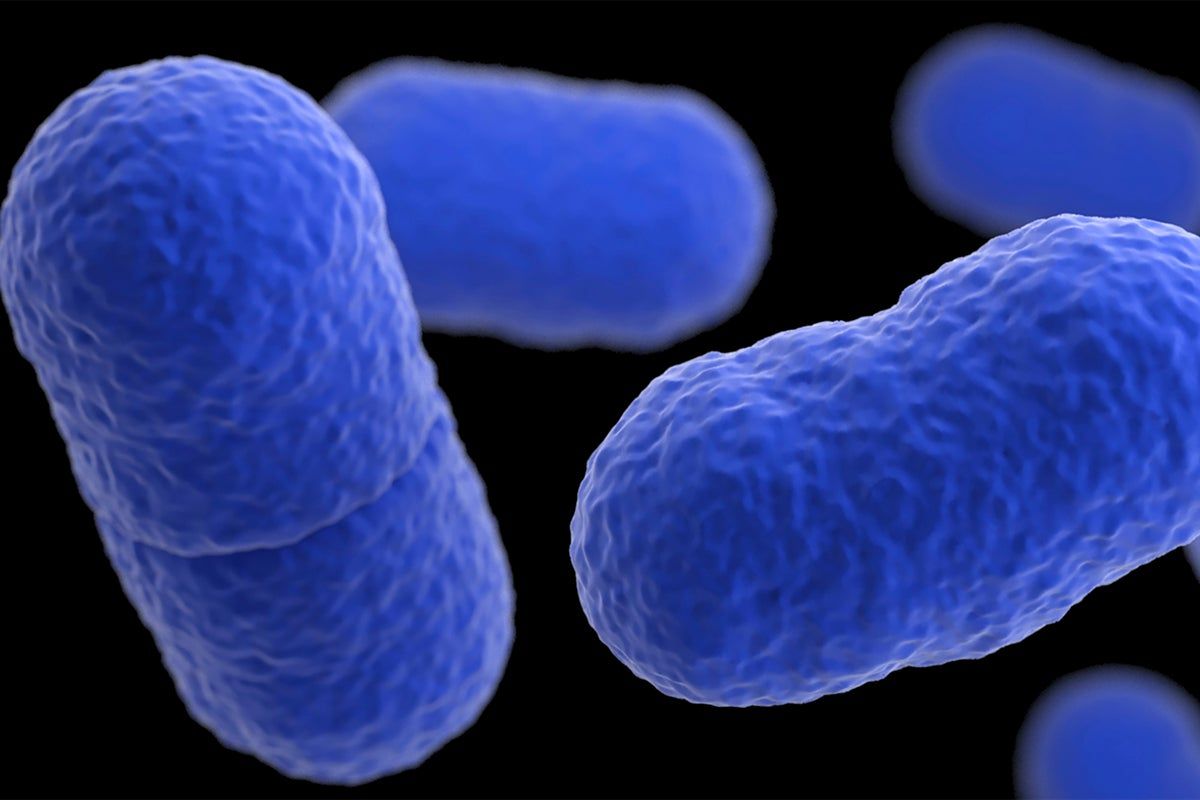 What is Listeria? Symptoms and causes of deadly…