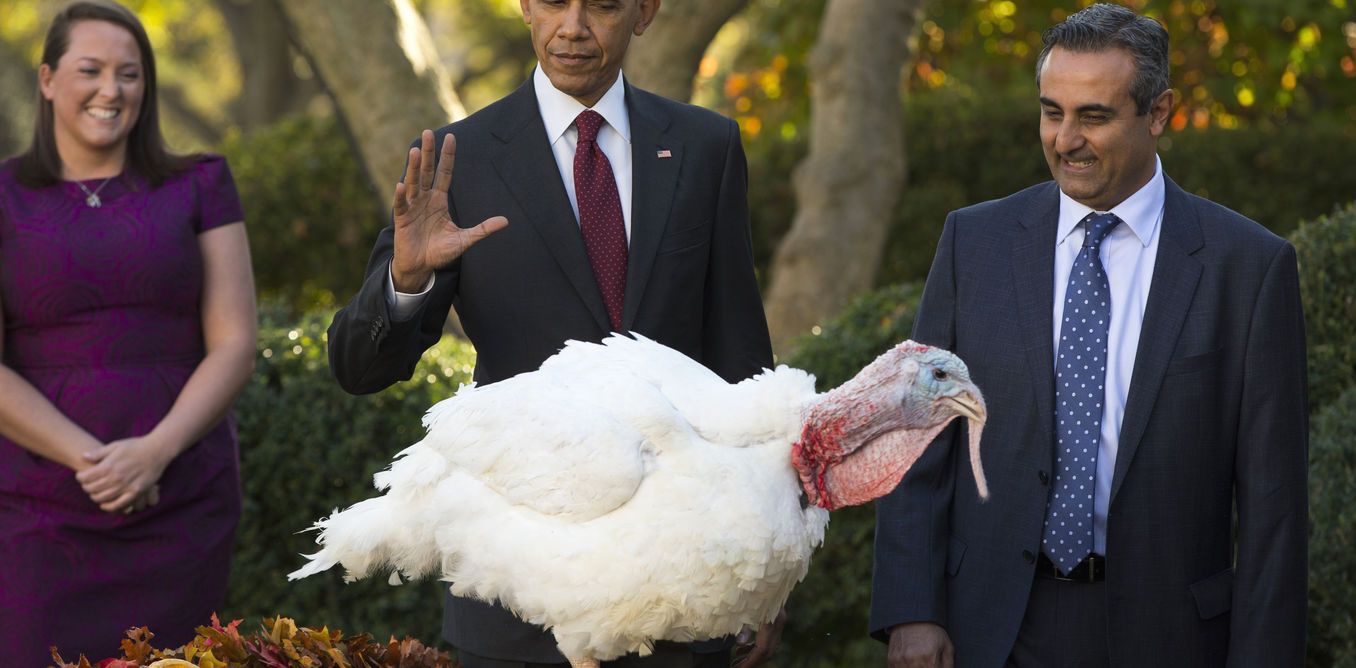 What is behind the turkey pardoning ritual?