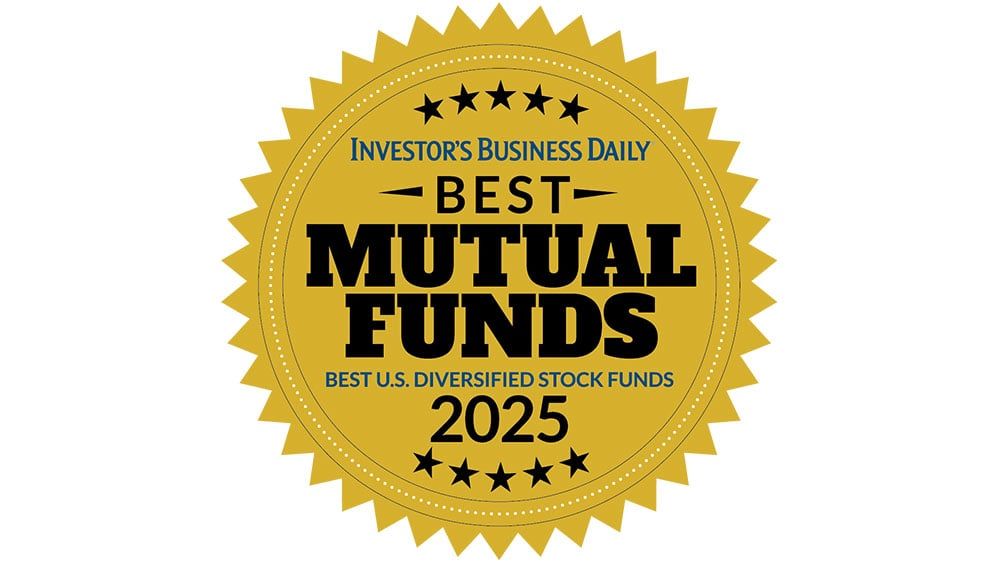 Best Mutual Funds 2025: U.S. Diversified Stock Funds