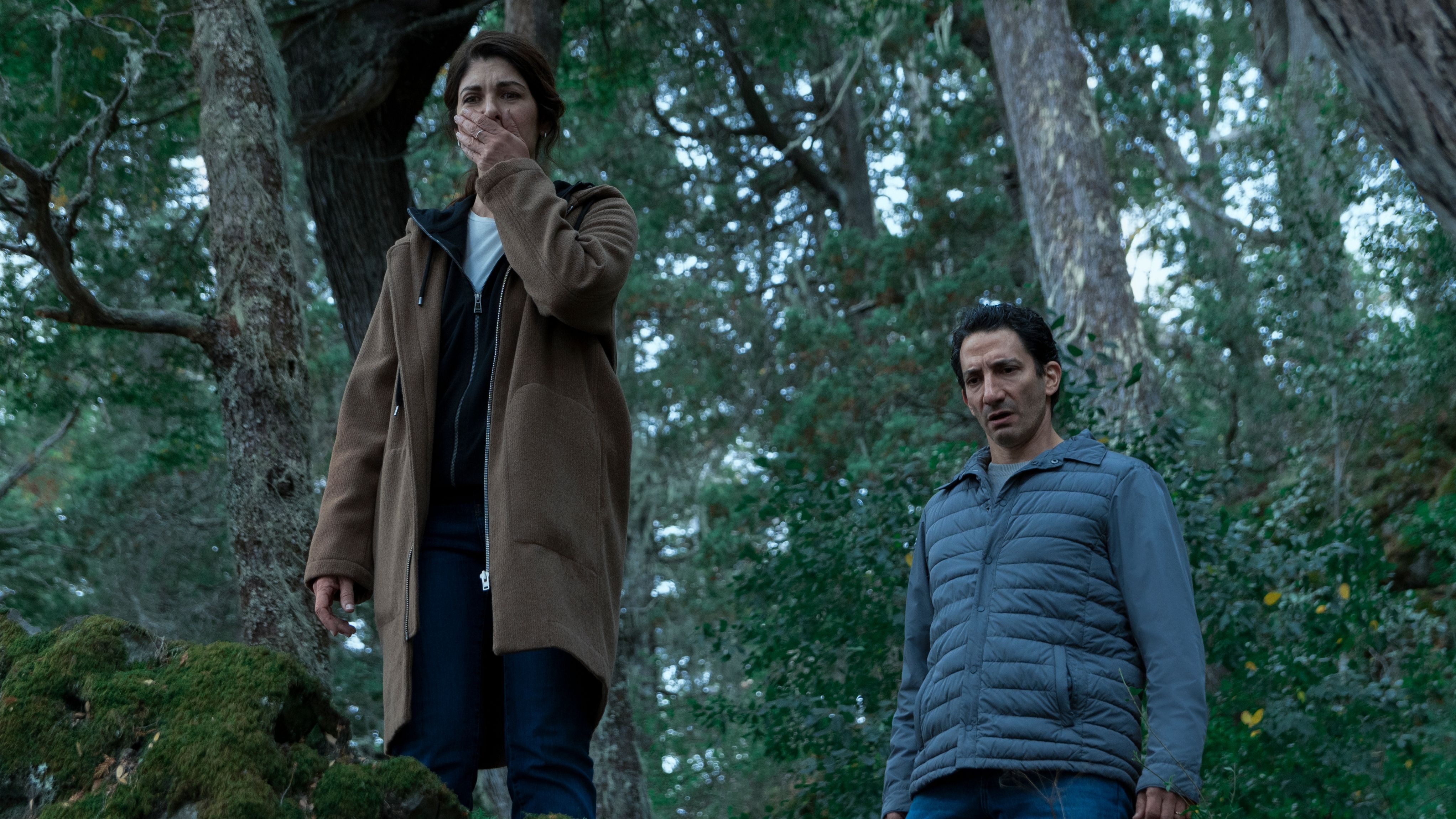 New on Netflix March 22-28: our expert picks the 6…