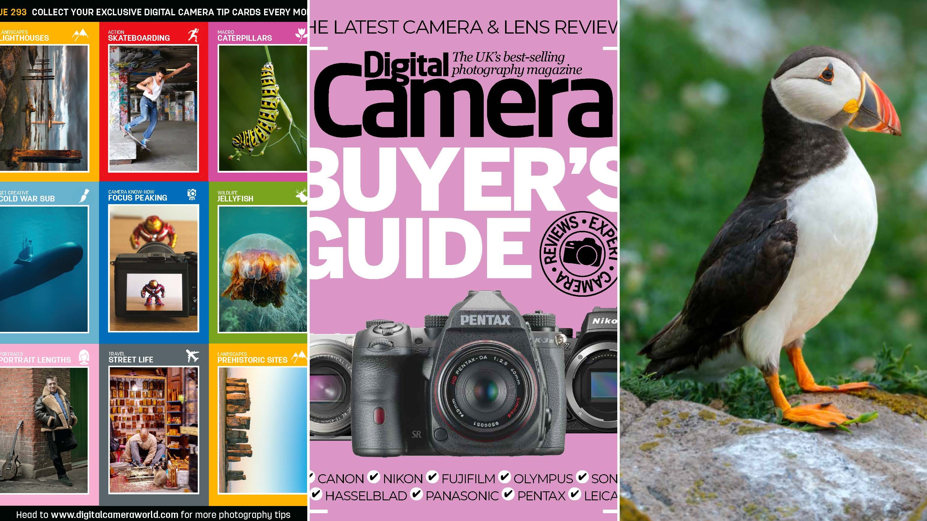 Your Digital Camera 293 download