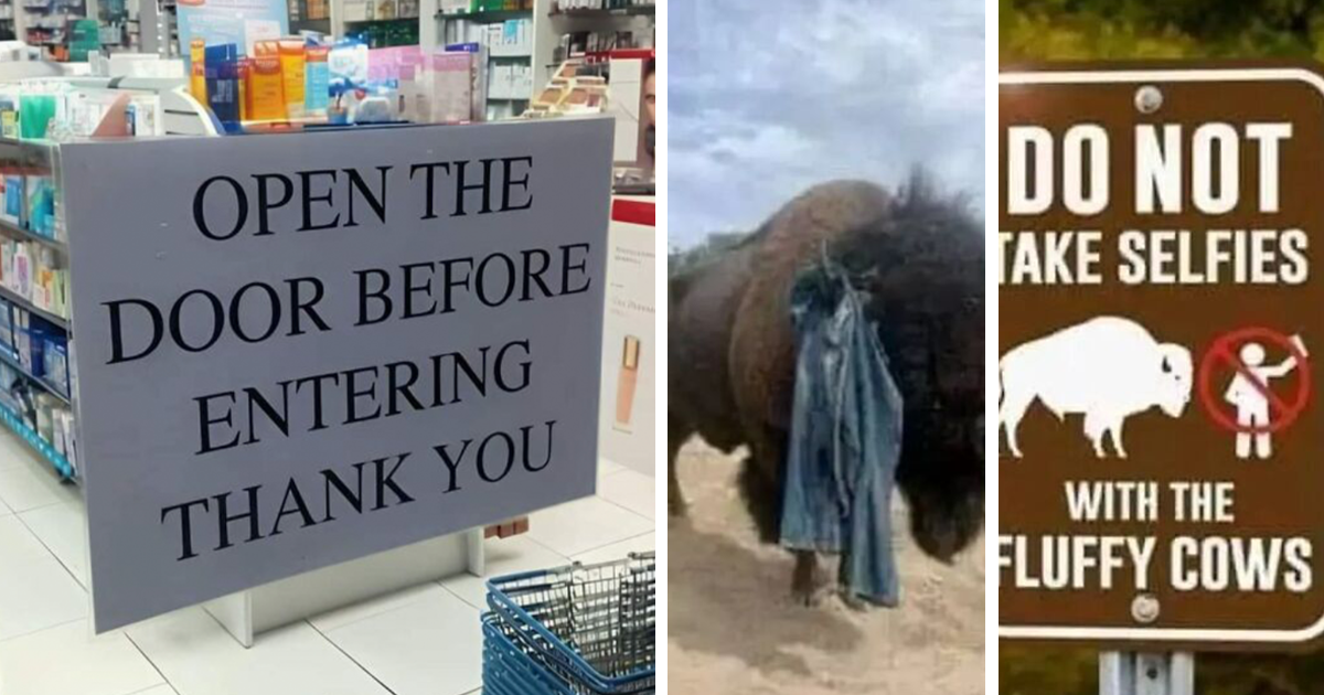 103 Signs That Are So Specific, They Had To Be Put Up…