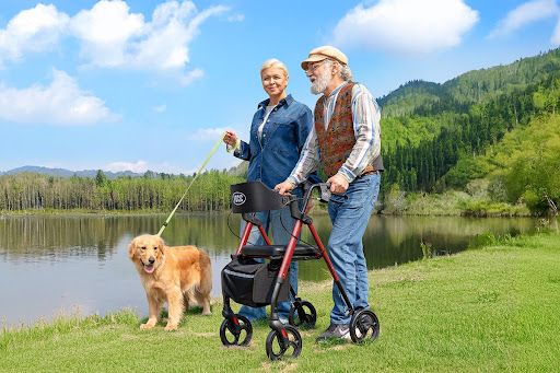 Spring Into Motion: Why Rollator Walkers Are A…