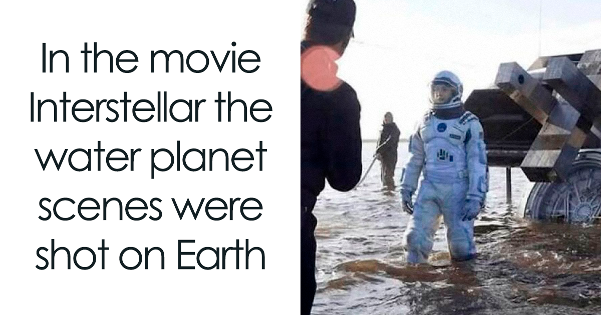 114 Literal Memes That Are Hilariously Straight To The…