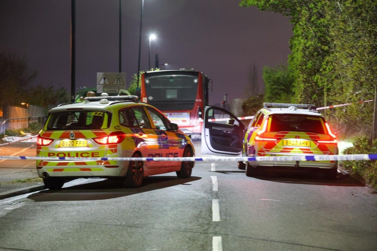 Three people killed in horror bus and car crash near…