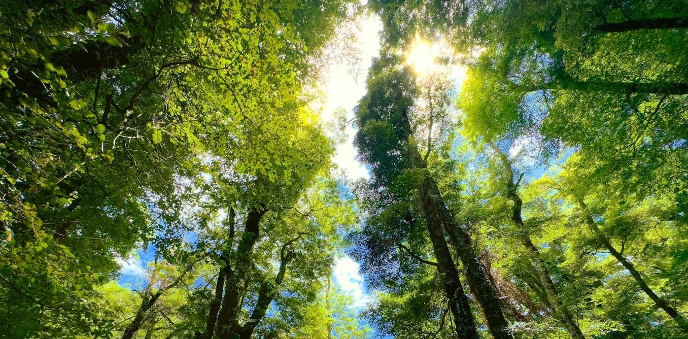 The latest update on NZ’s state of the environment is…