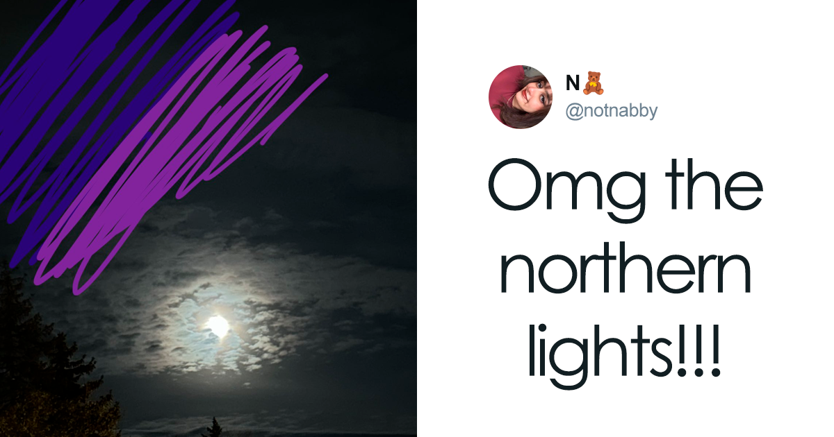 34 Of The Funniest Memes About Not Seeing The Northern…
