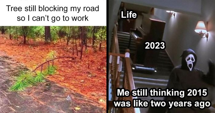 “I Feel Personally Attacked By This Meme”: 34 Random…