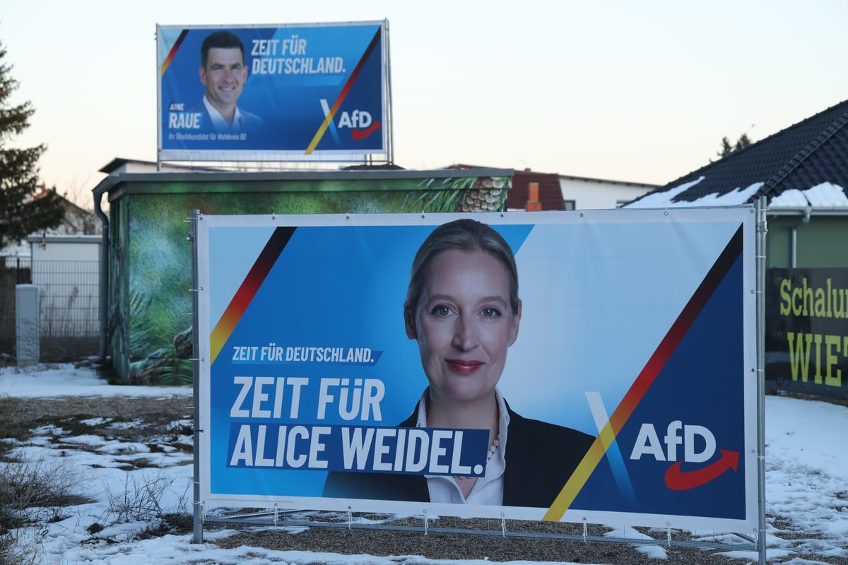 Germany's far-right AfD party tops major poll for…