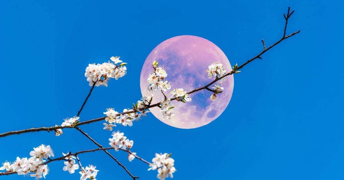 Here's how you can see the stunning Pink Moon over…