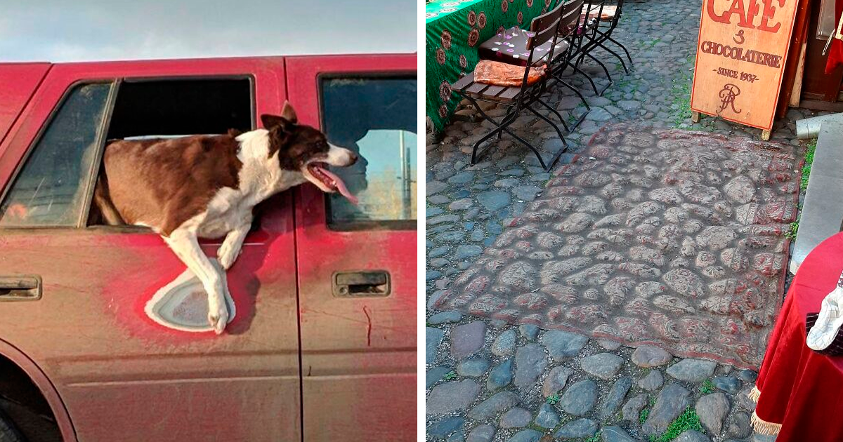 57 Surprising Pics Of Things Transformed By Time And…