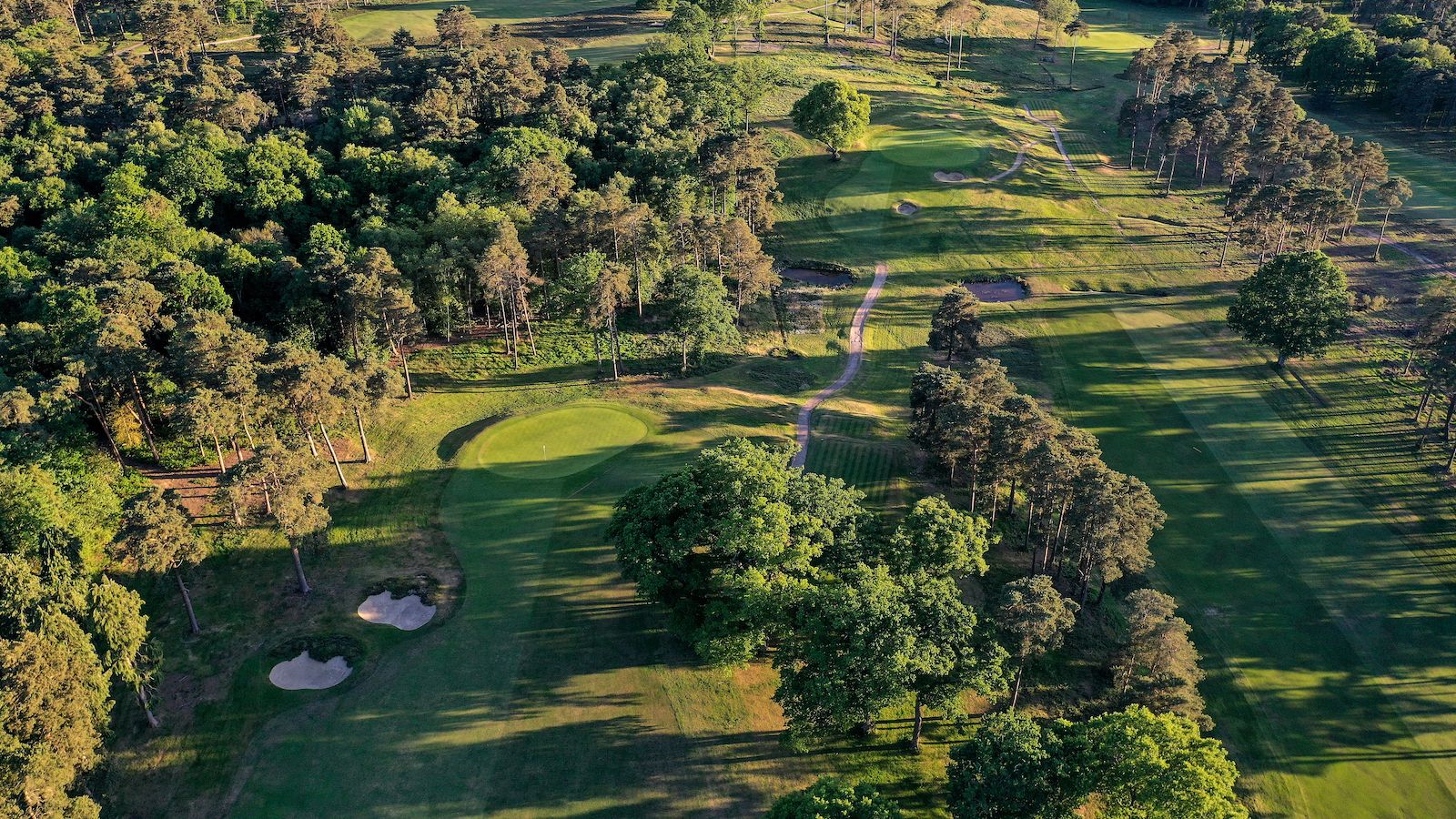 Woking Golf Club: Course Review, Tee Times and Key Info