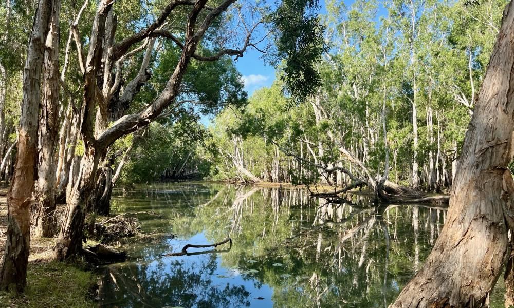 One of Australia’s oldest cold cases: why after 90…