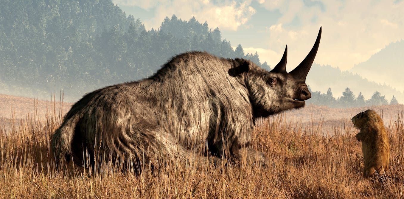If we must bring back extinct species, let’s focus on…