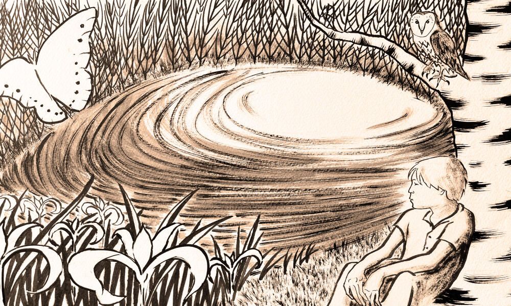 Poem of the week: The old pond full of flags and…