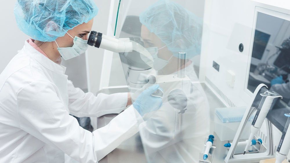 Stock Market Today: Dow Jones, S&P 500 Erase Losses;…