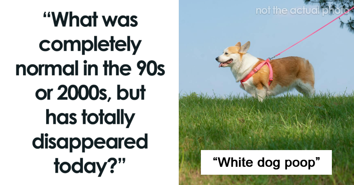 People Are Sharing Normal ‘90s And ‘00s Things That…