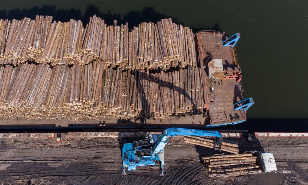 Sanctioned Russian and Belarusian wood smuggled into…