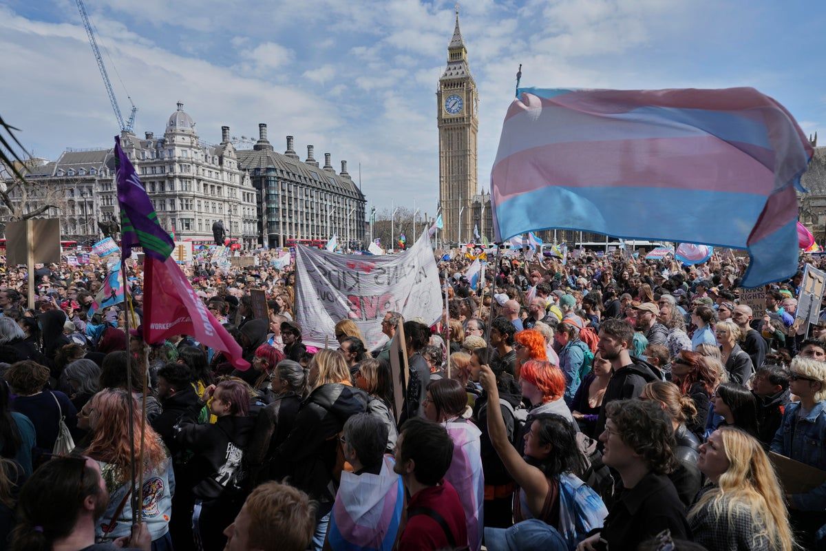 Trans rights rally placards should be investigated by…