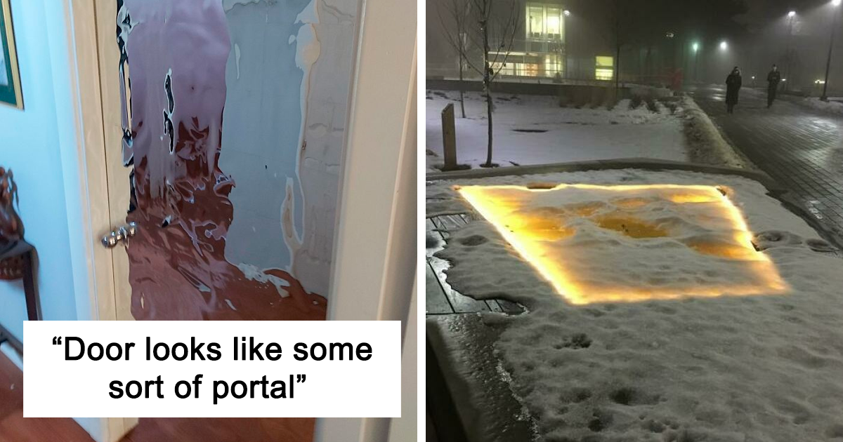 46 Real-Life Photos That Look Like Screenshots Of A…