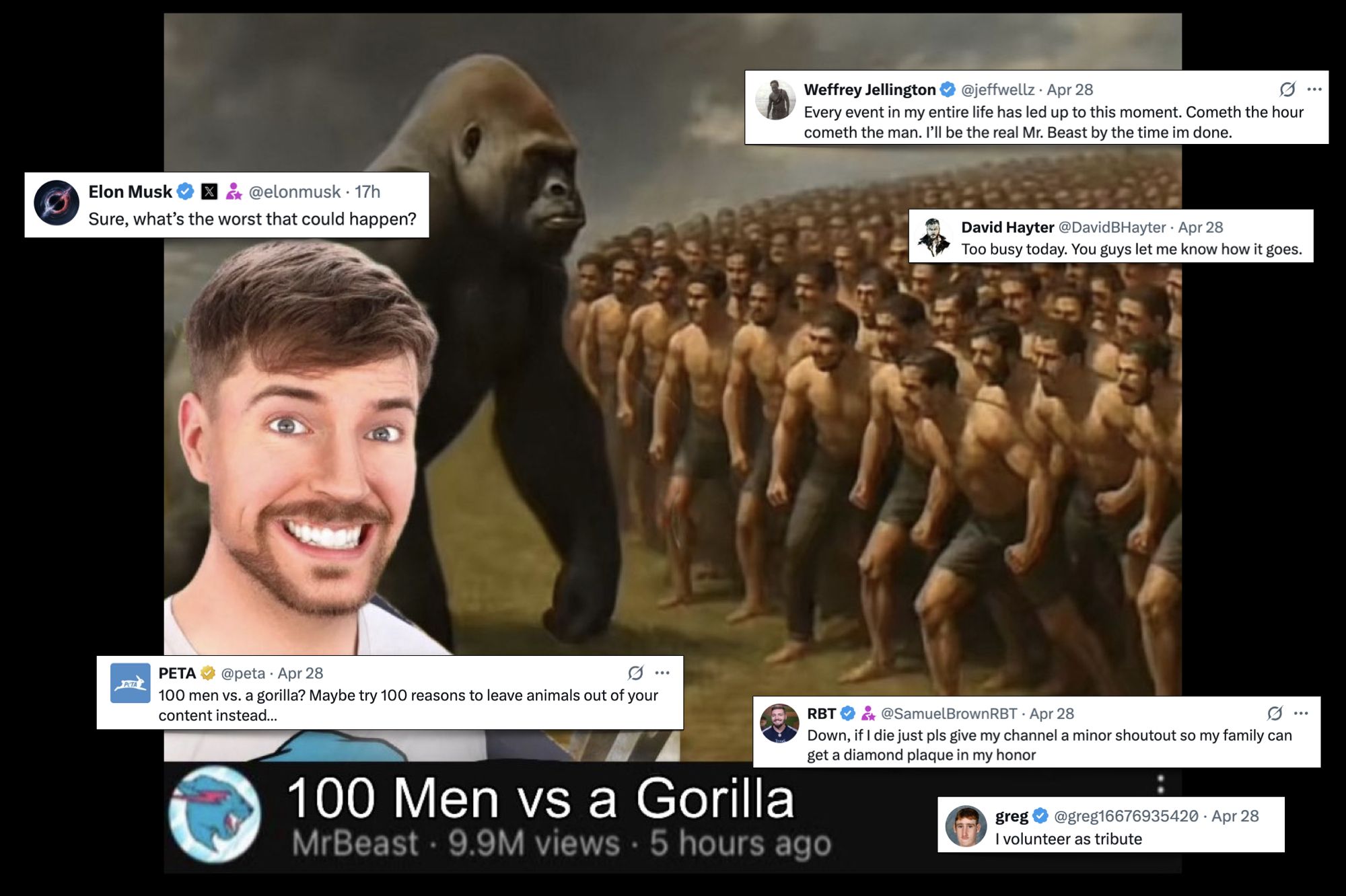 MrBeast Seeks 100 Volunteers to Fight a Gorilla, Gets…