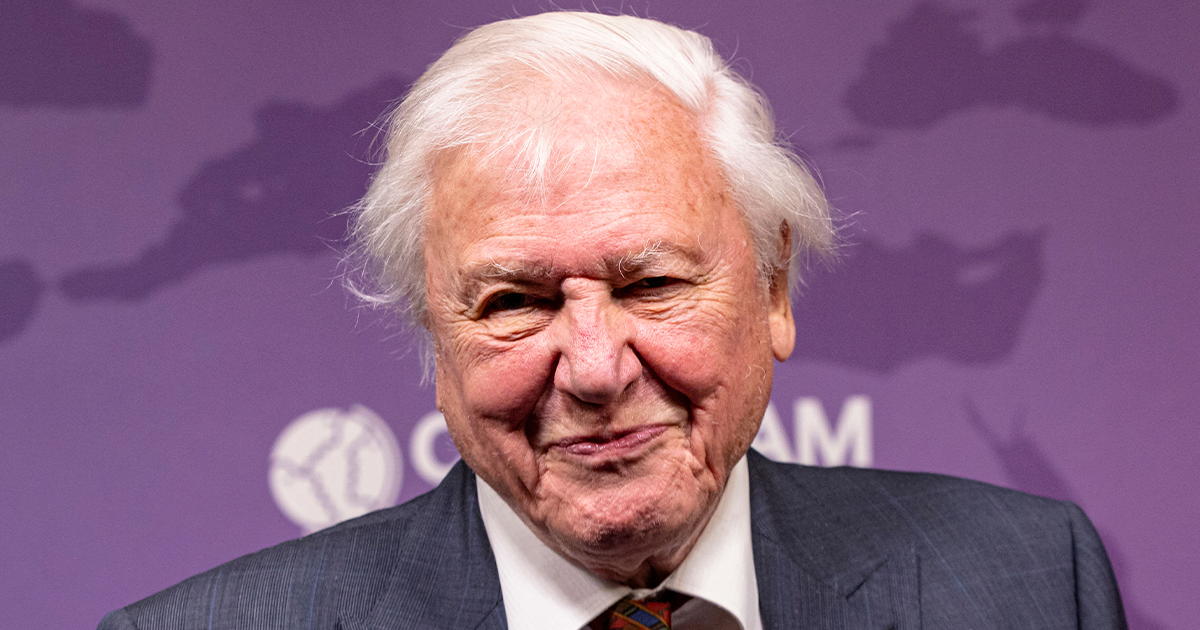 David Attenborough Says He Is Nearing “The End Of His…