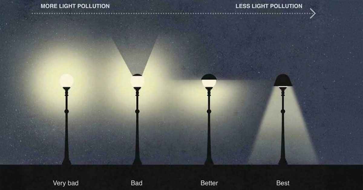 38 Unique Charts, Guides, And Other Visuals That Might…