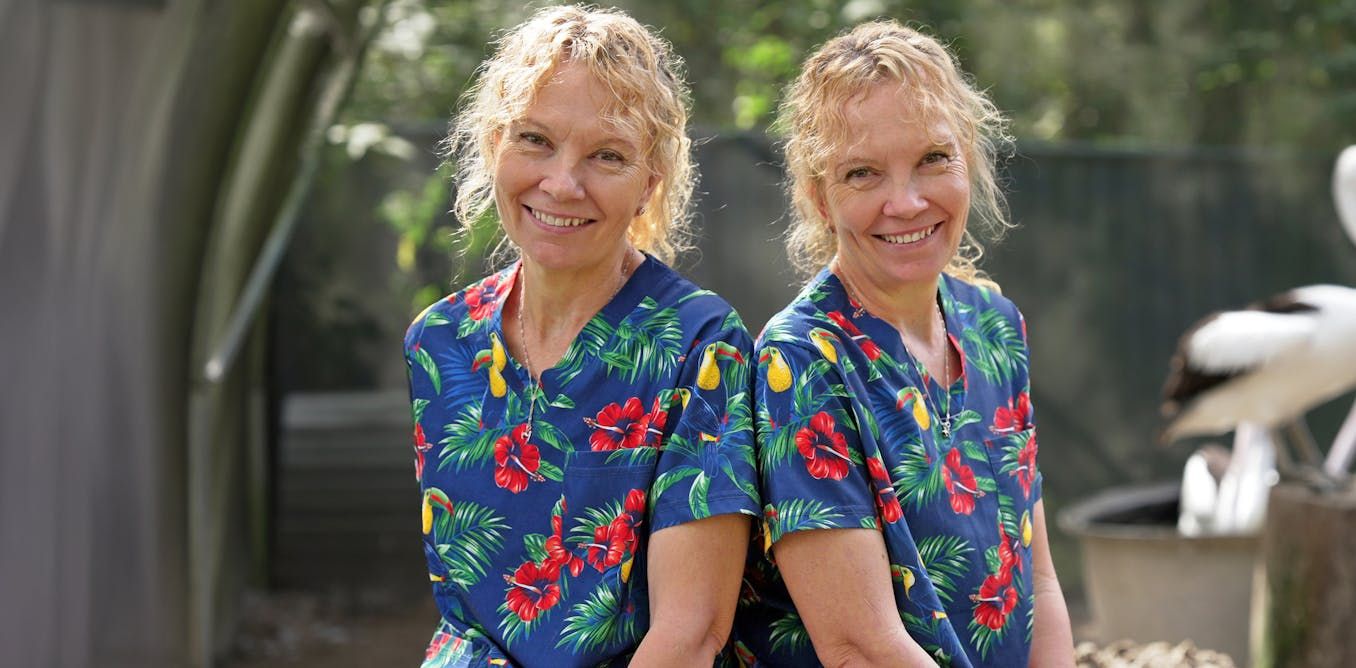 Genes, environment or a special bond? Why some twins…