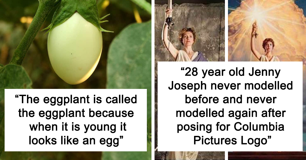 25 Fun And Interesting Facts To Share With Your Work…