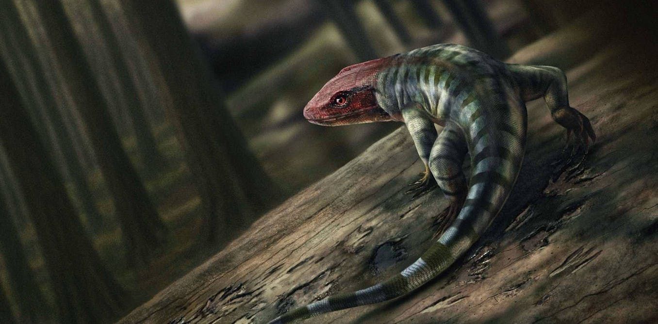 Two lizard-like creatures crossed tracks 355 million…