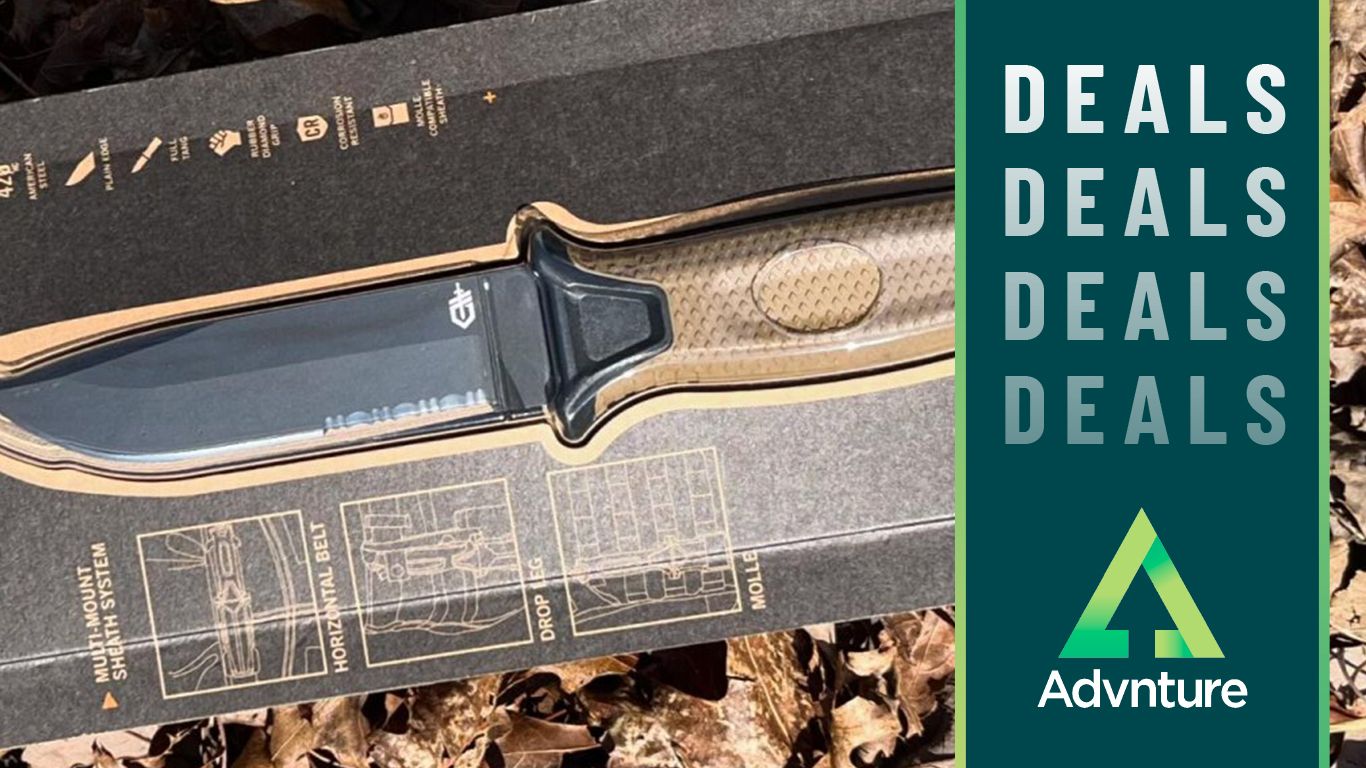 "Does it get any better?" – the top-rated Gerber…